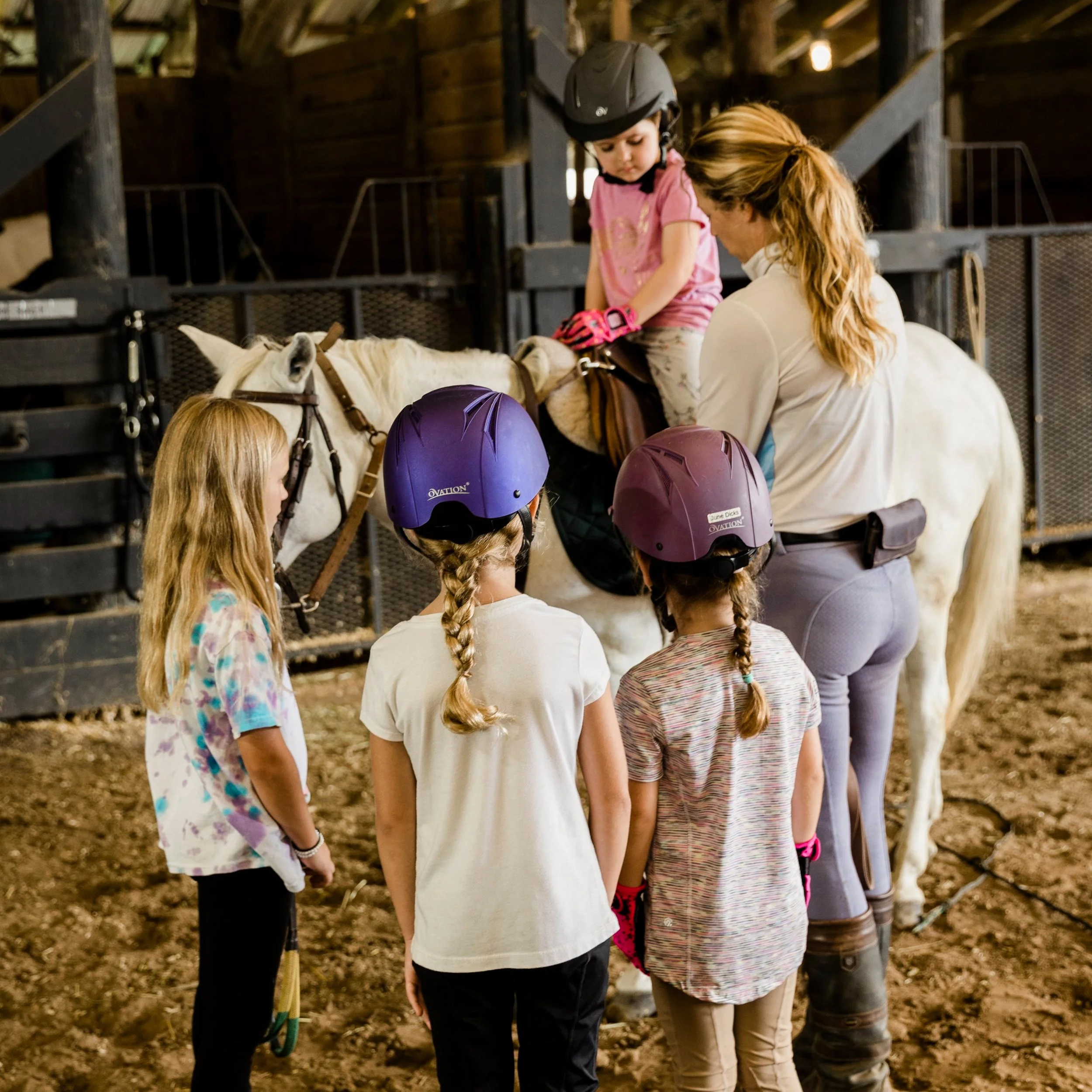 What We Offer — Perennial Farm Riding Academy