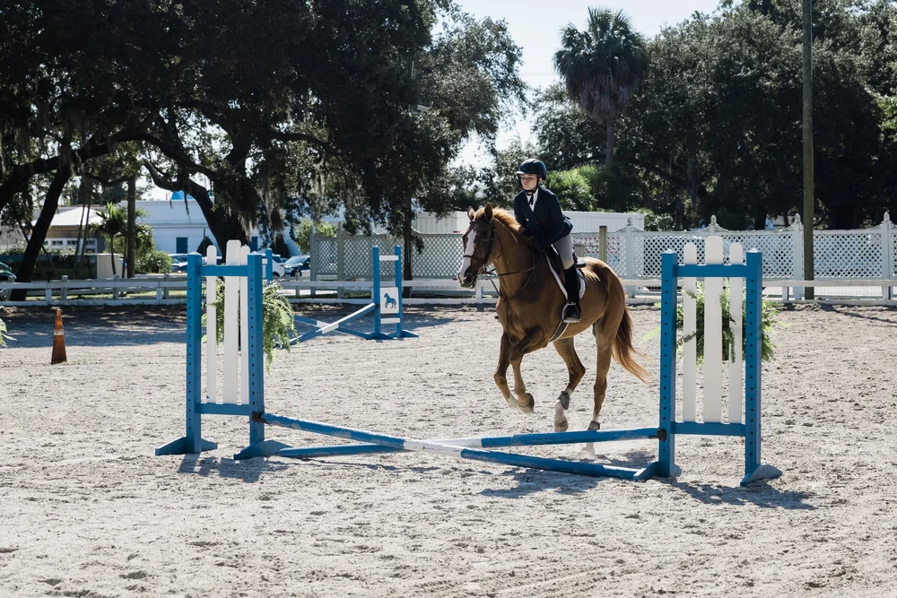 About — Perennial Farm Riding Academy