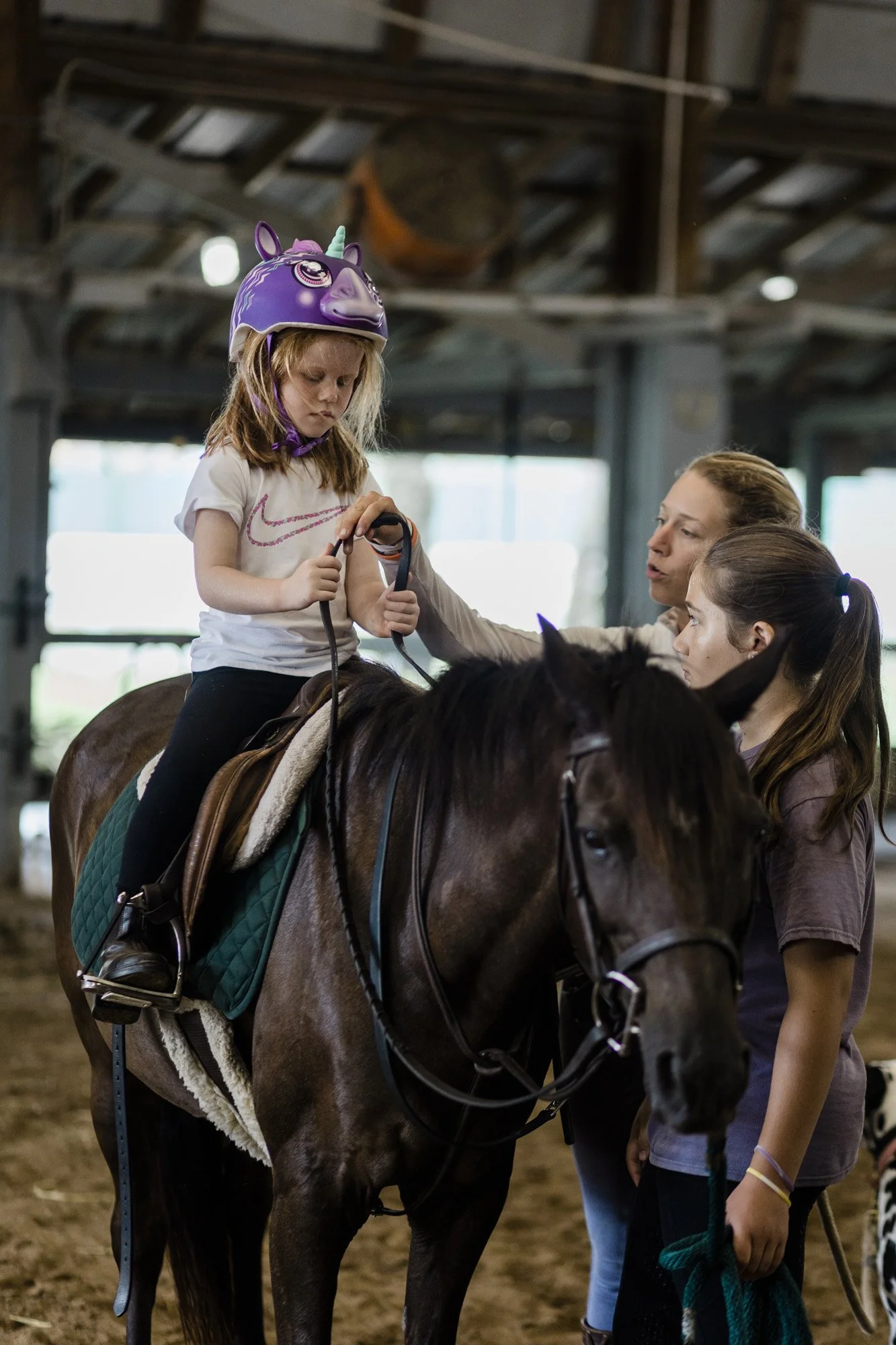 Summer Horsemanship Camp — Perennial Farm Riding Academy