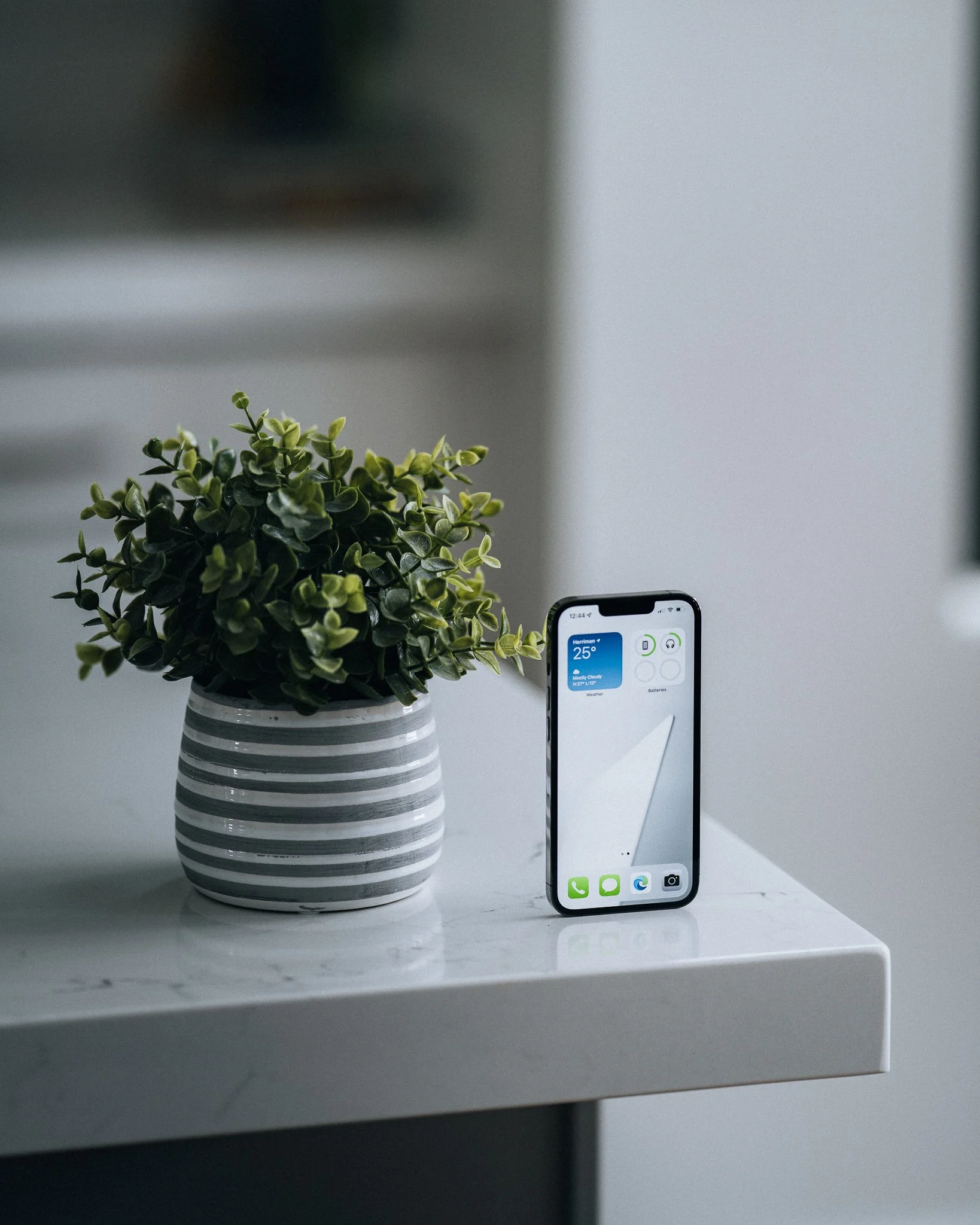 Shop — Austin Rupp