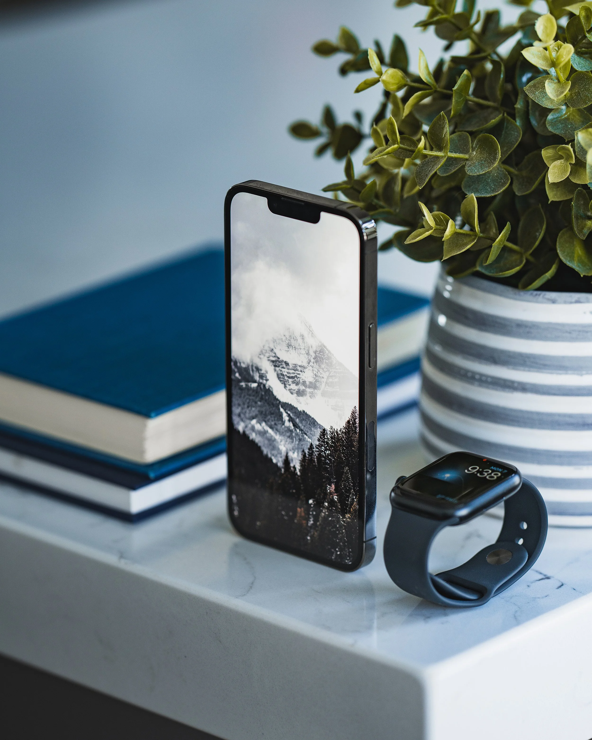 Shop — Austin Rupp