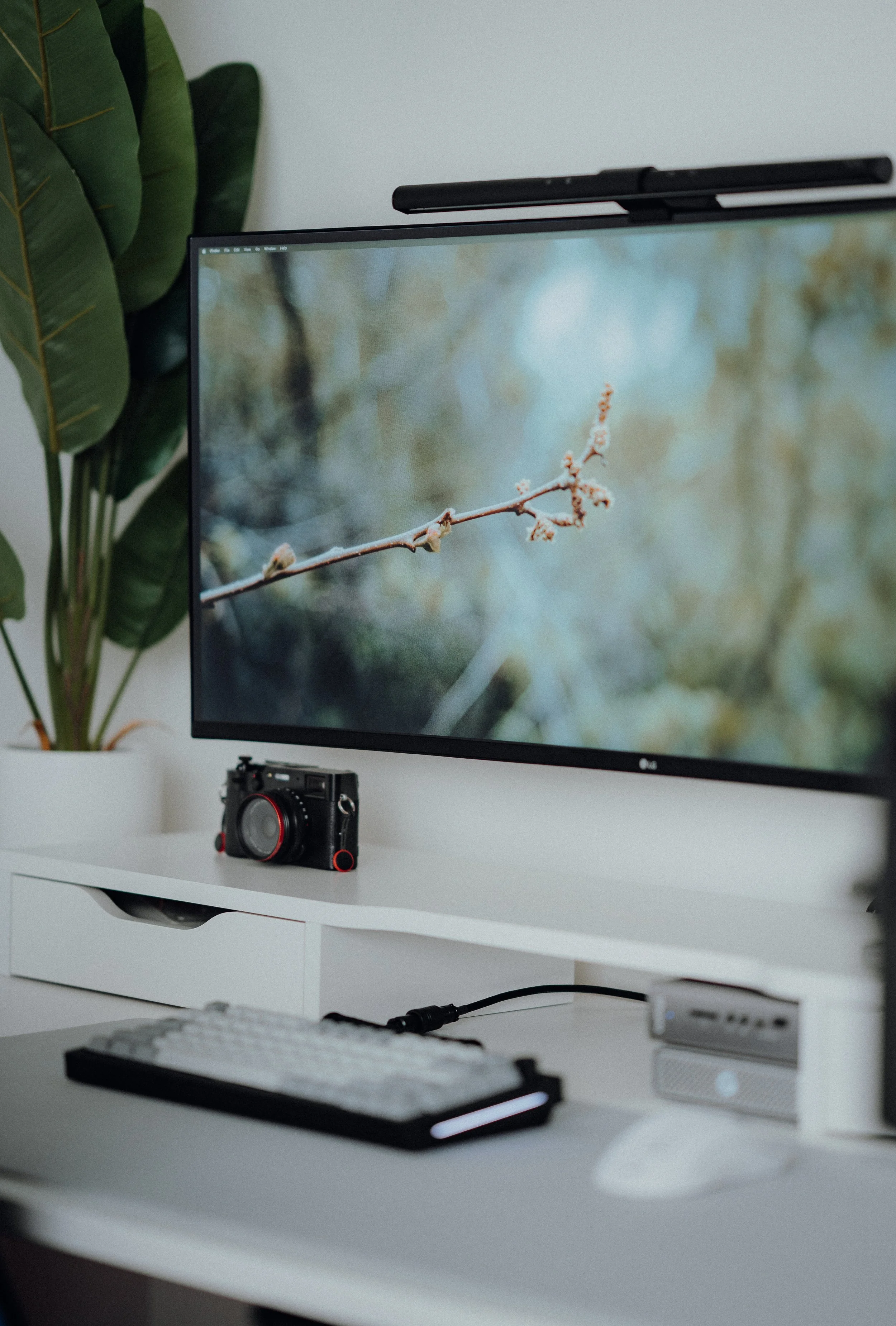 Shop — Austin Rupp