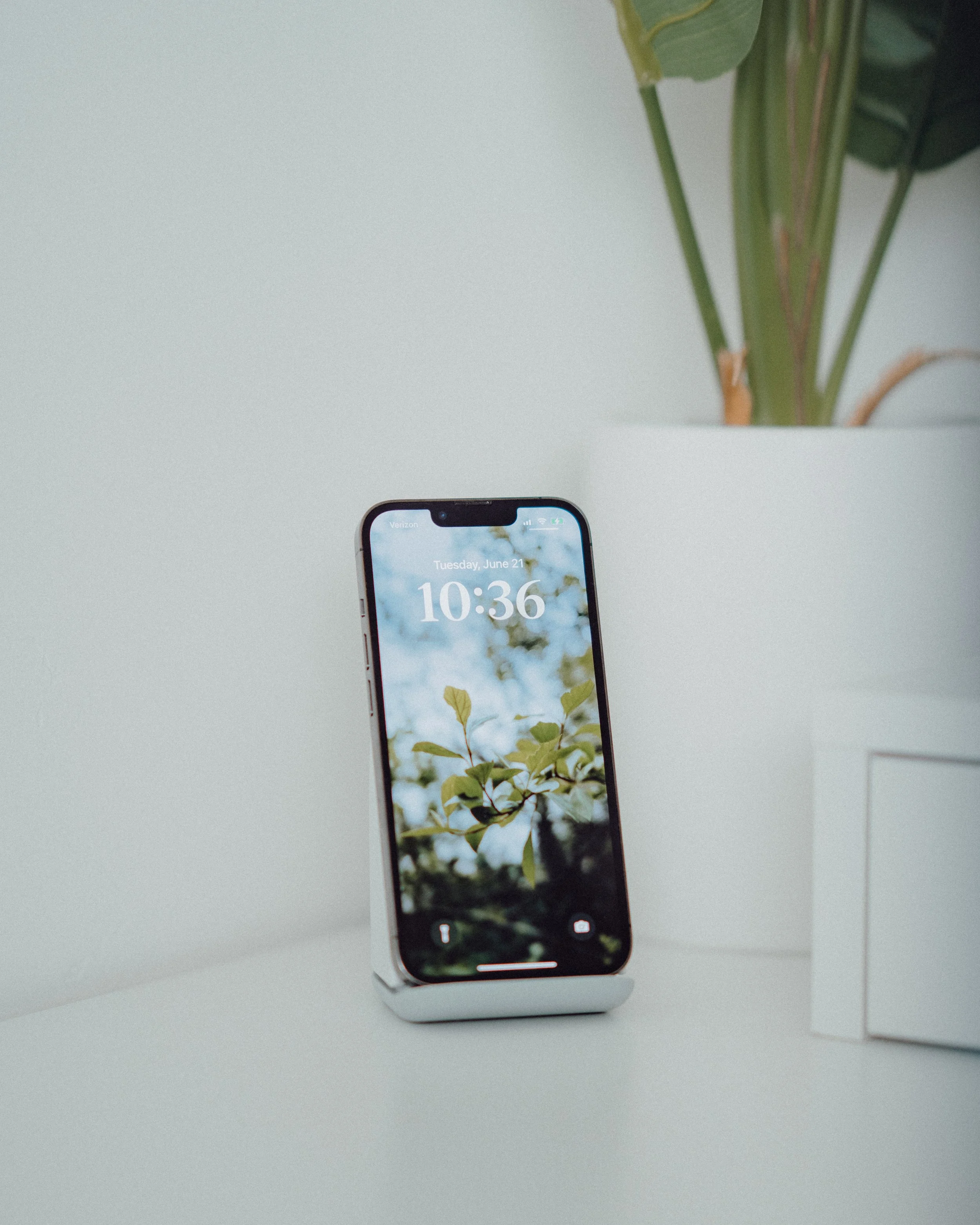 Shop — Austin Rupp