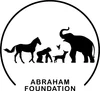 About — Abraham Foundation