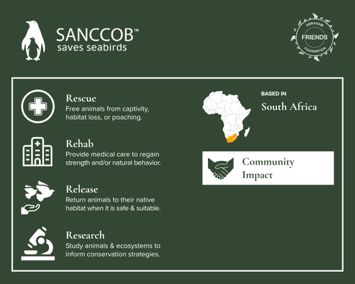 Southern African Foundation for the Conservation of Coastal Birds ...
