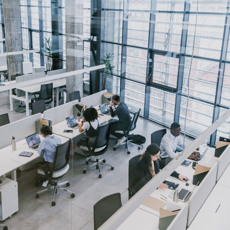 AVA Behavioral Assessment — AVA Assessment