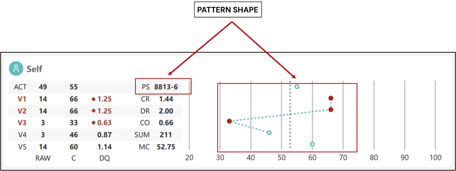 AVA Behavioral Assessment — AVA Assessment