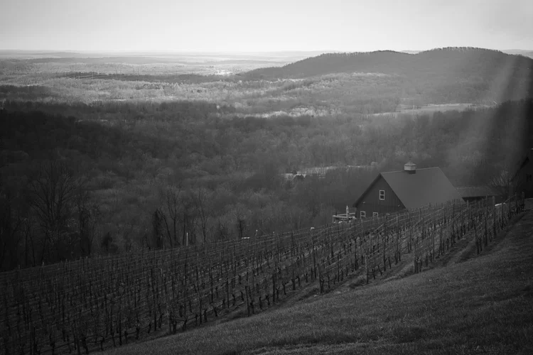 Gallery 3 — Chester Gap Cellars