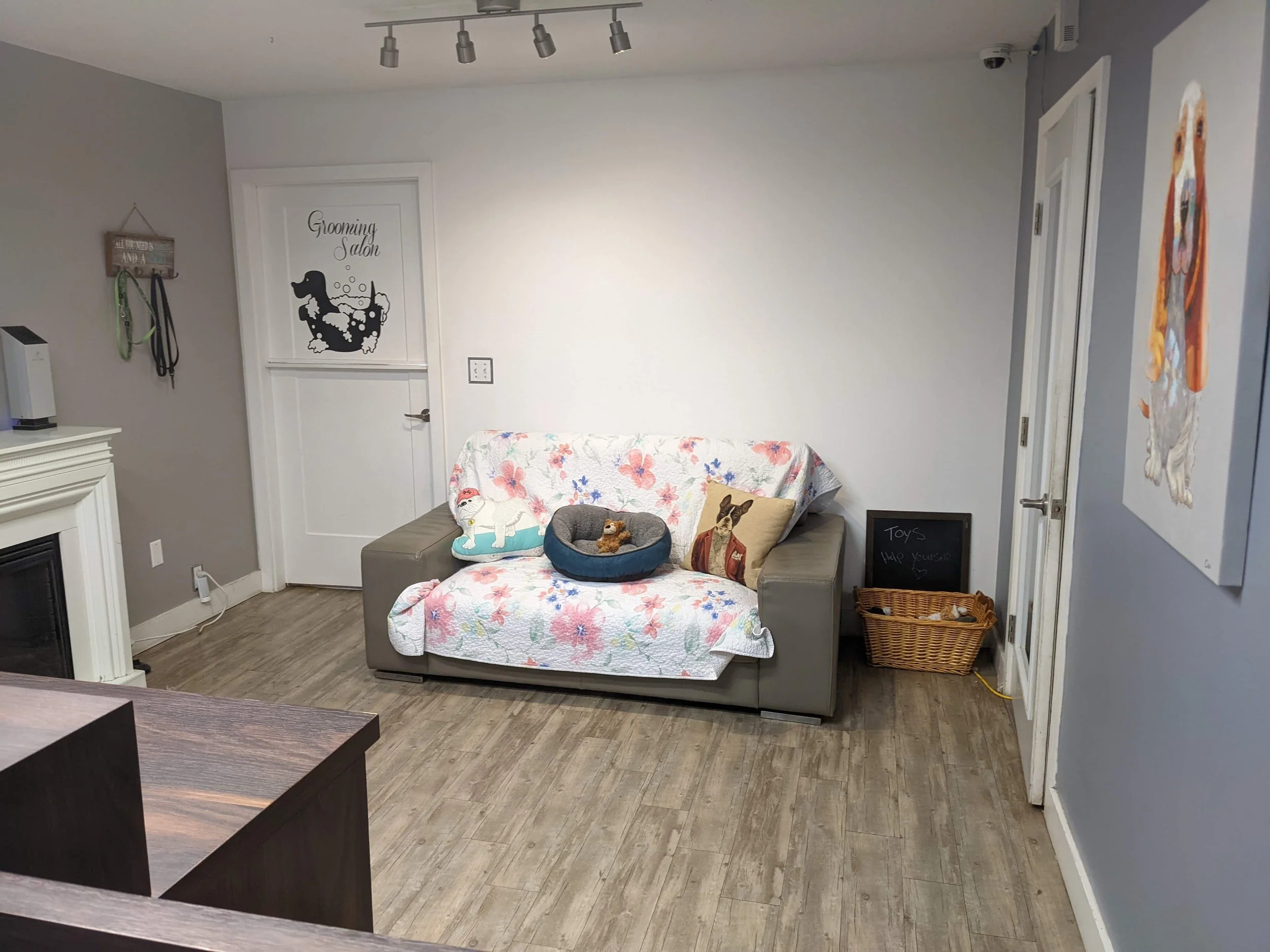 Animal Magic Pet Resort