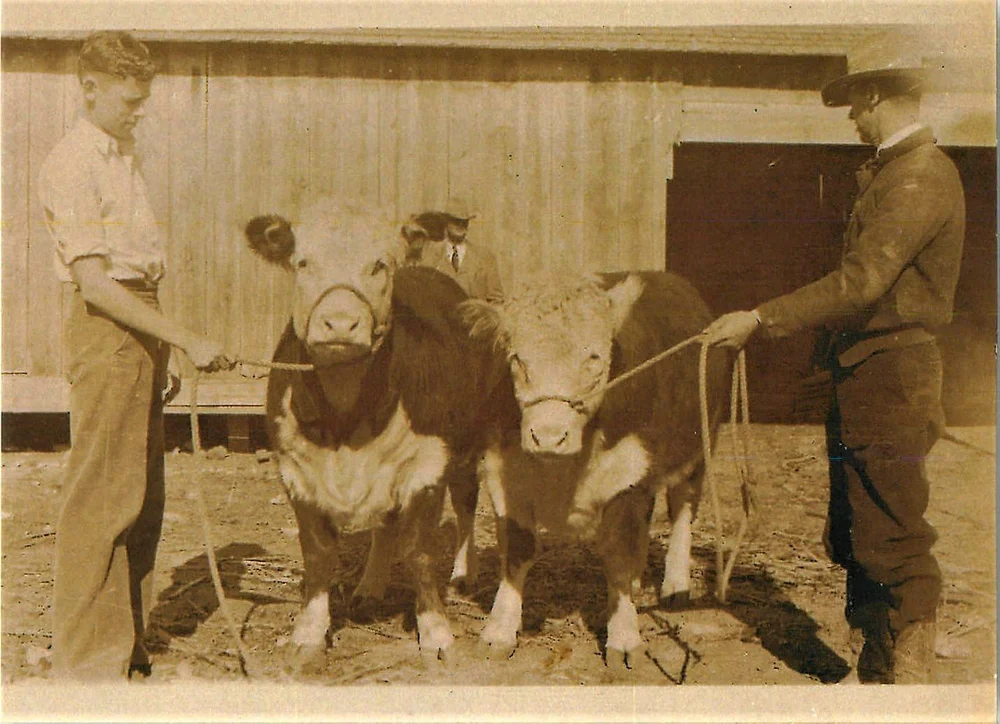 History — White House Ranch