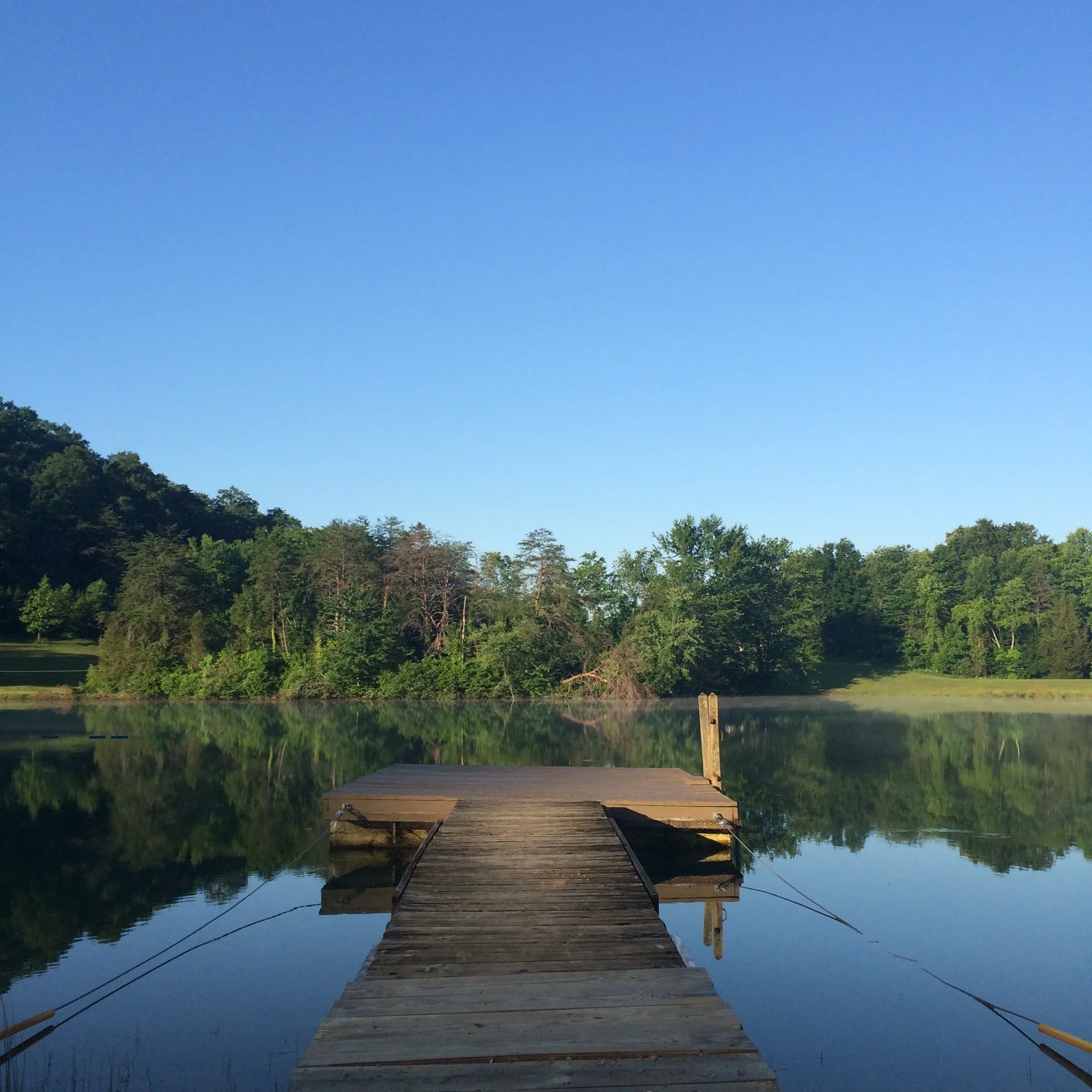 Photos — Camp Lyons