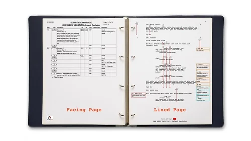 How to Read a Script: A Beginner's Guide