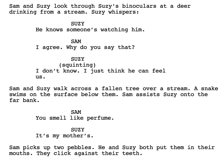 Moonrise Kingdom Script Analysis: A Quirky, Crayon-Drawn Ode to ...