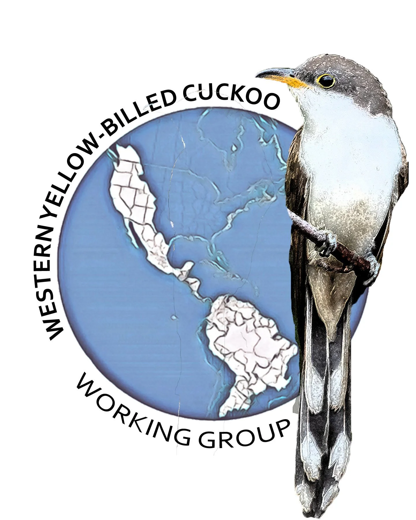 News — WESTERN YELLOW-BILLED CUCKOO WORKING GROUP