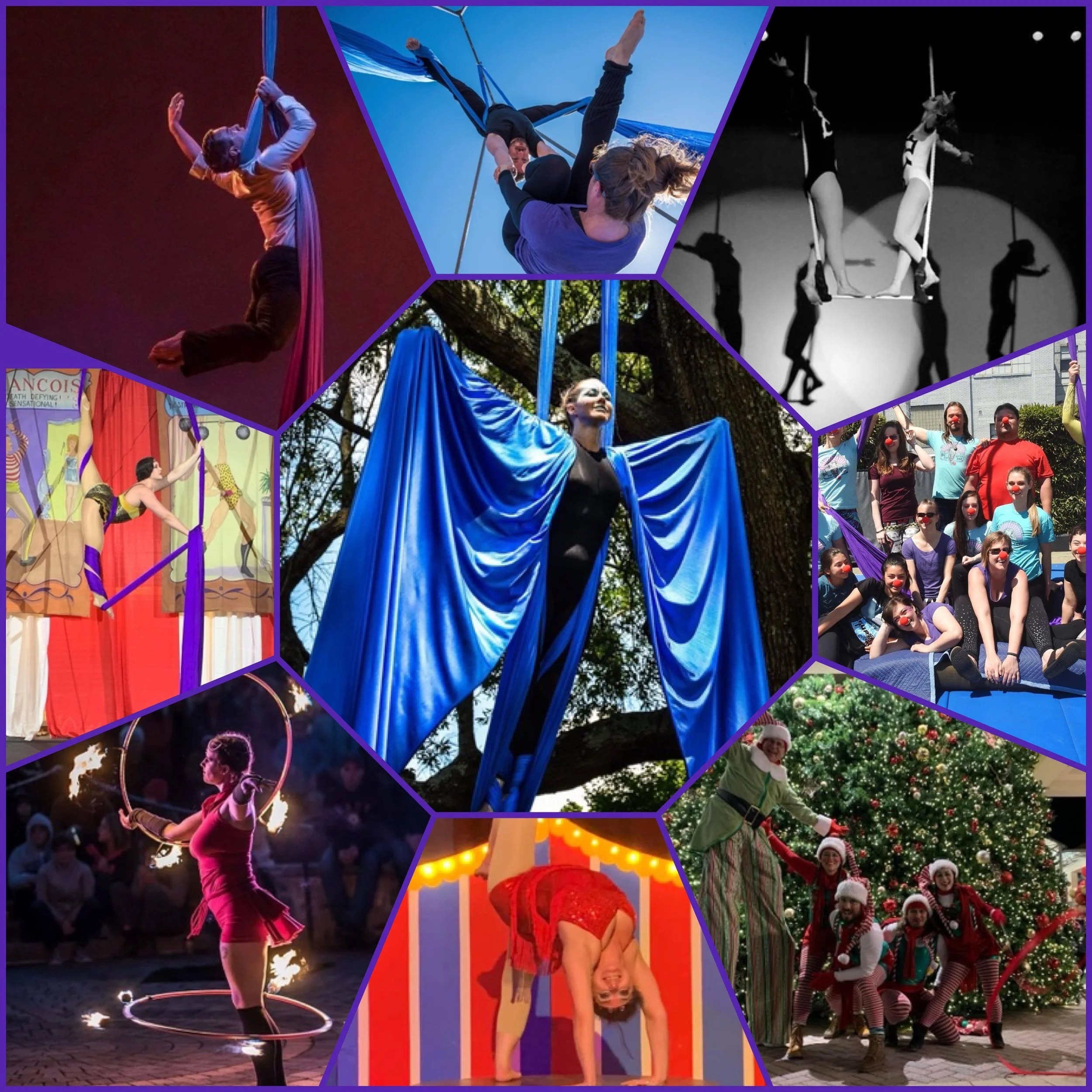 Host of Sparrows Aerial Circus