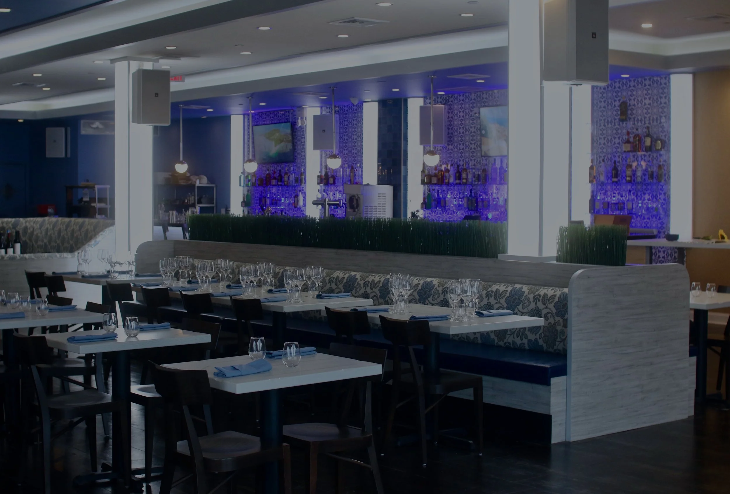 Reservations — Coquito Blu