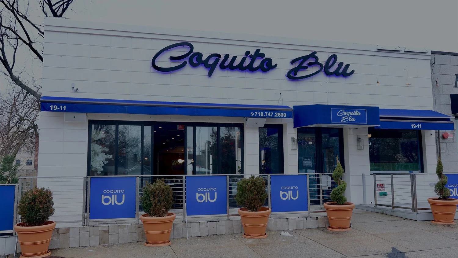 Coquito Blu