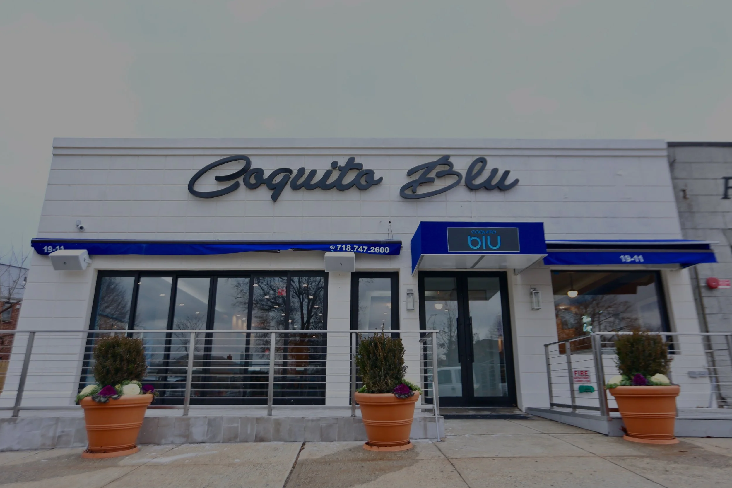 Coquito Blu