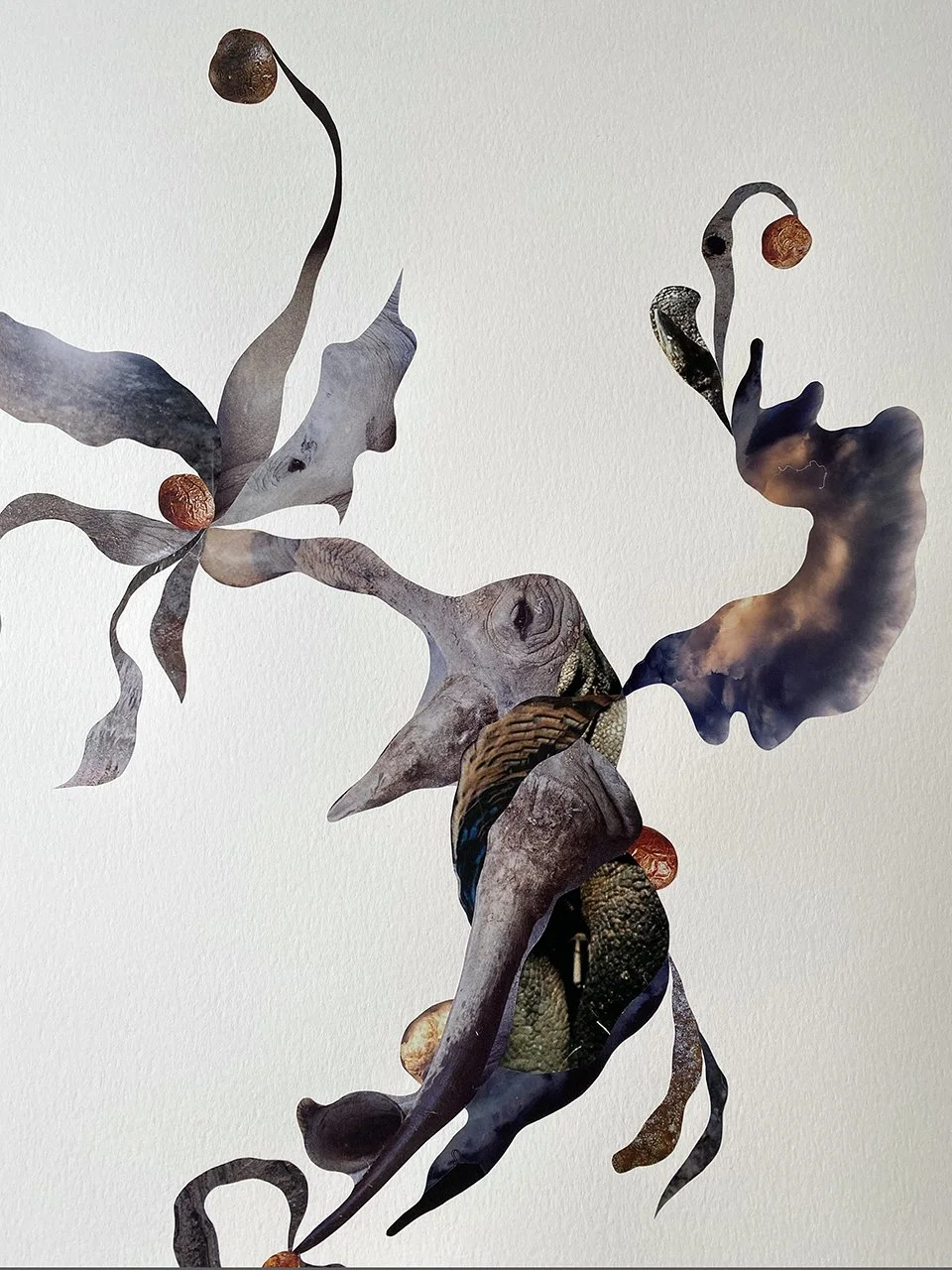 orchis II (armor) — Michelle Laxalt