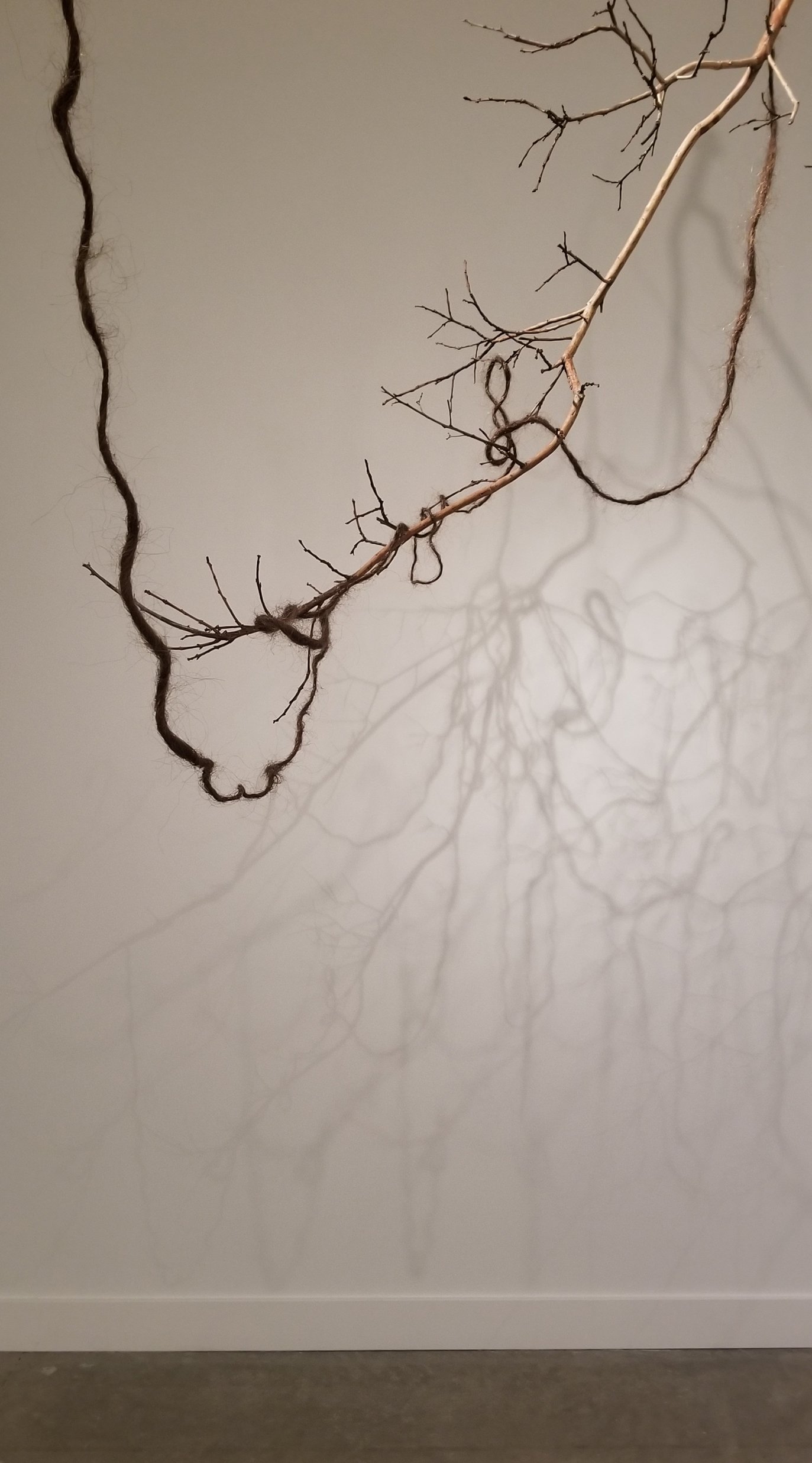 shed (nest) II — Michelle Laxalt