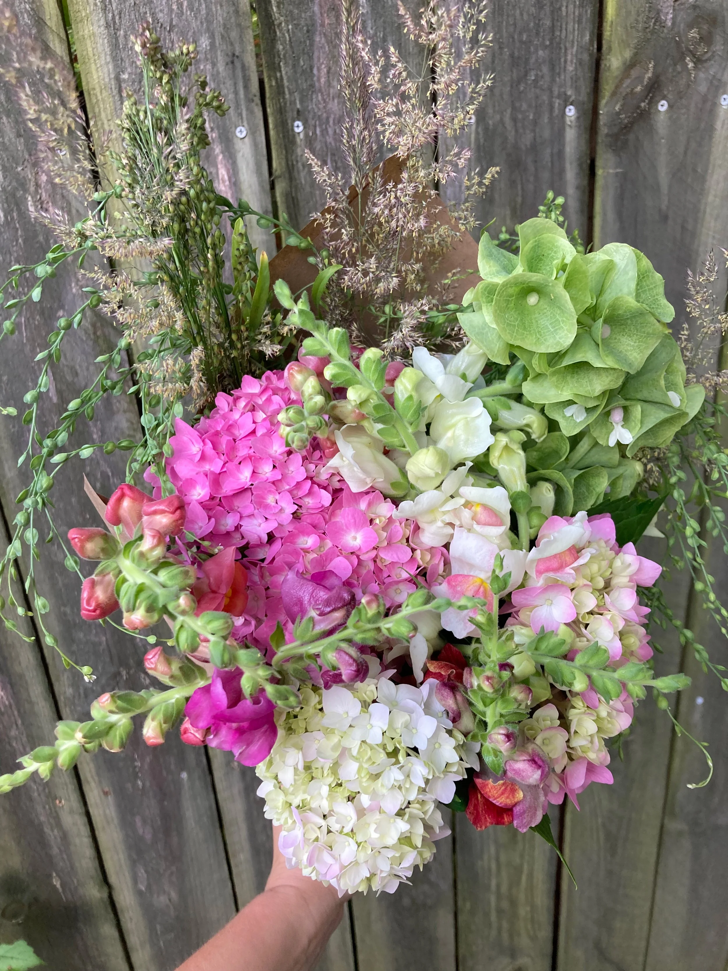 Shop — Hellmuth Family Gardens