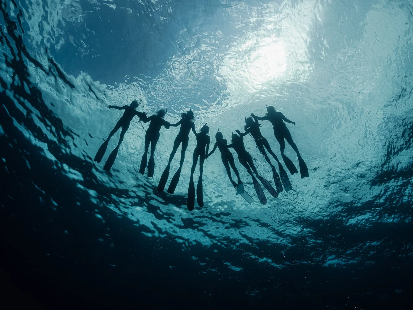 Immersia Freediving | Freediving Courses and Events in Sydney