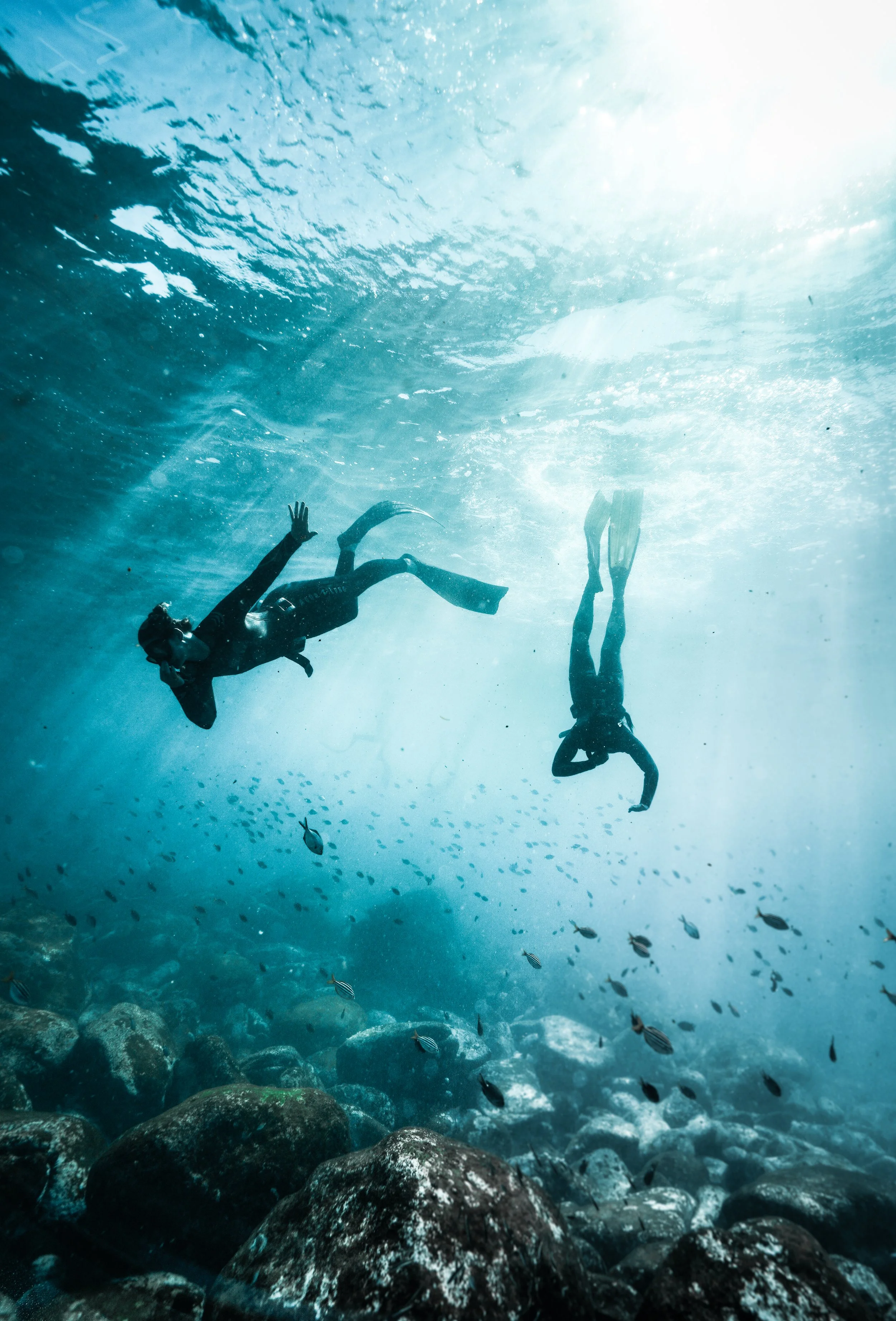 Learn to Freedive — Immersia Freediving