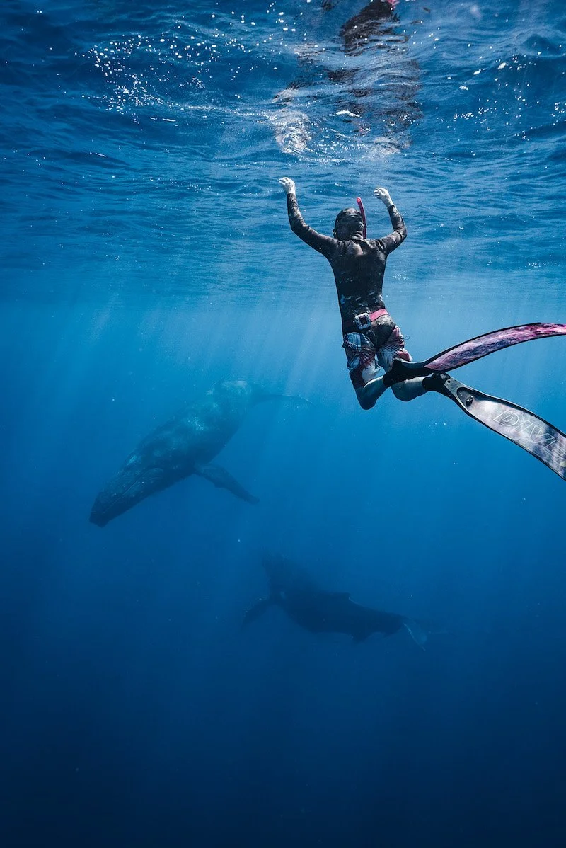 BEST FREEDIVING FINS IN 2025 – FOR BEGINNERS — Immersia Freediving