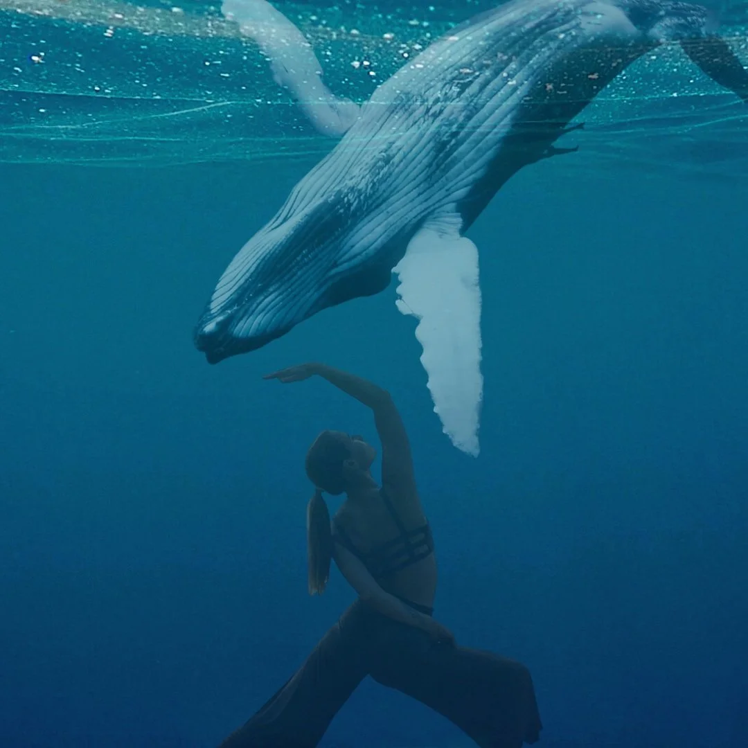 Freediving Retreats — Immersia Freediving