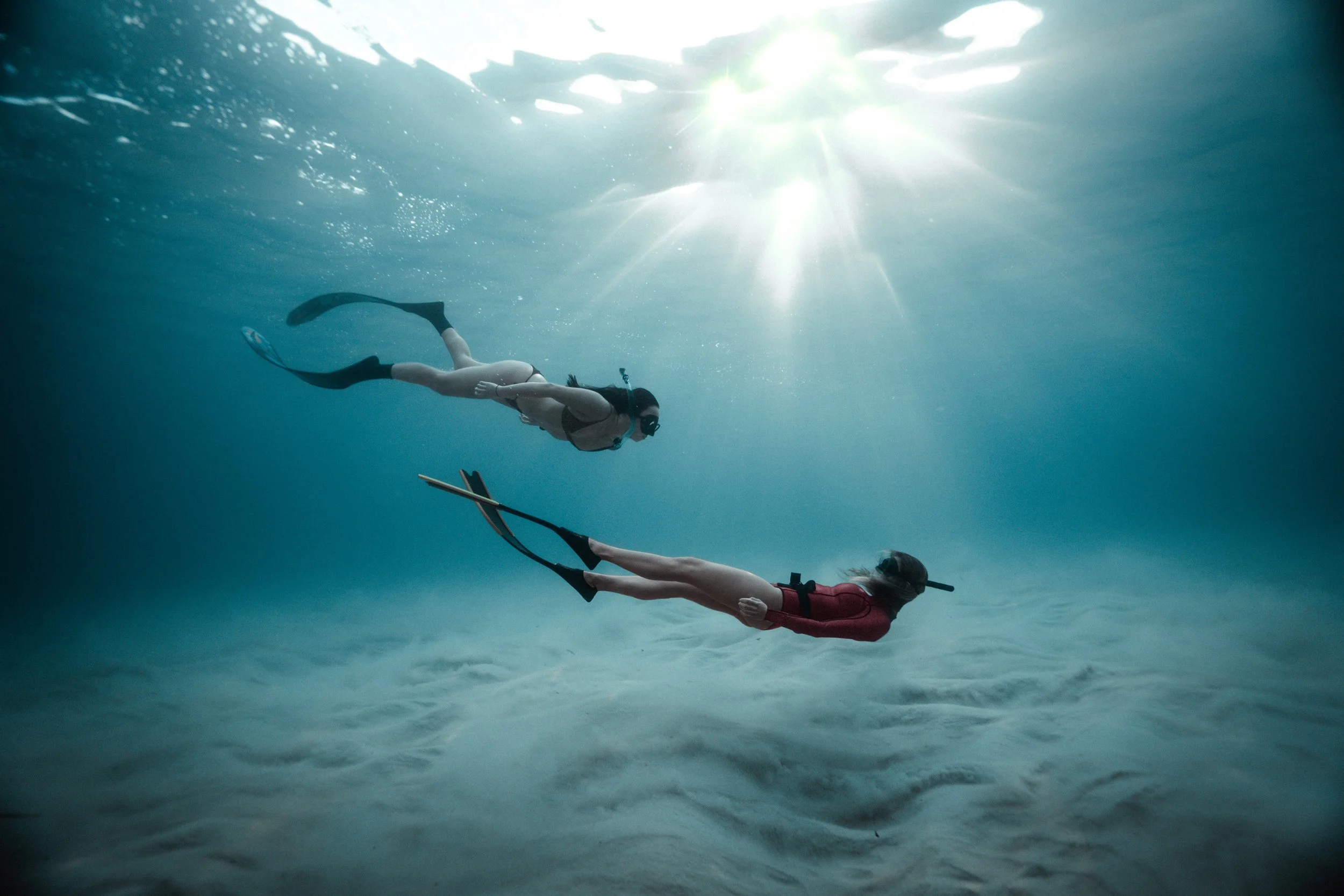 Immersia Freediving | Freediving Courses and Events in Sydney