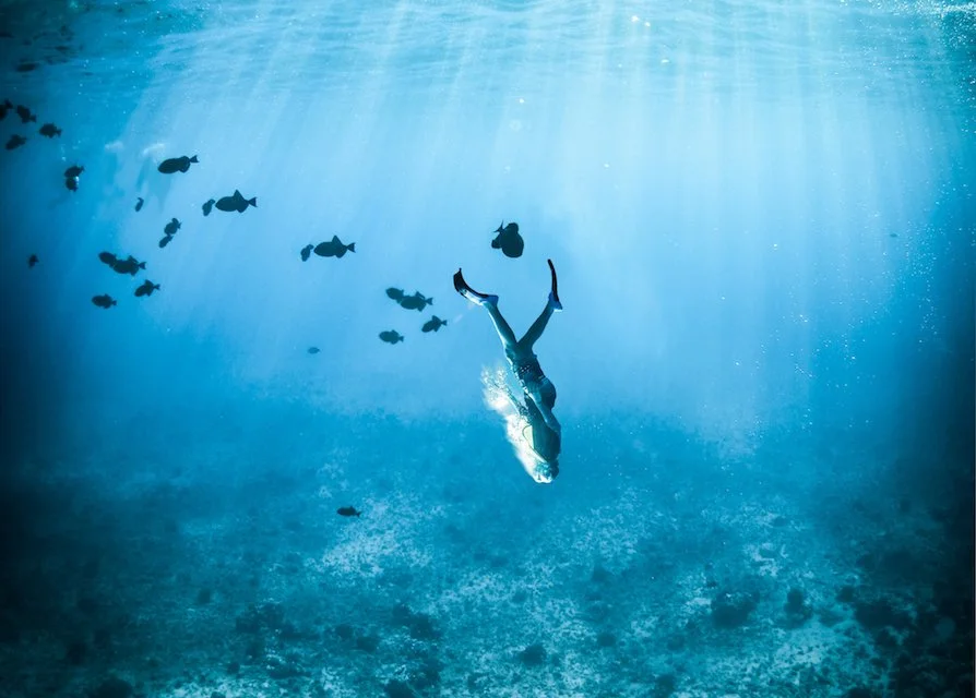 HOW DOES FREEDIVING WORK? — Immersia Freediving