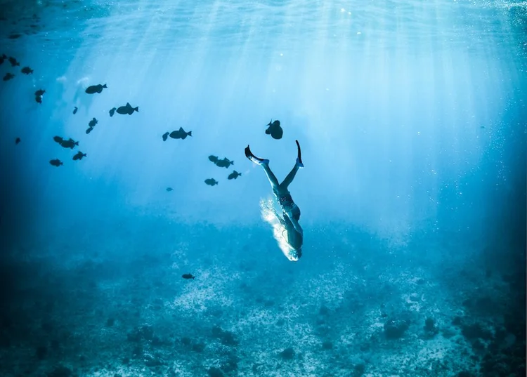 HOW DOES FREEDIVING WORK? — Immersia Freediving
