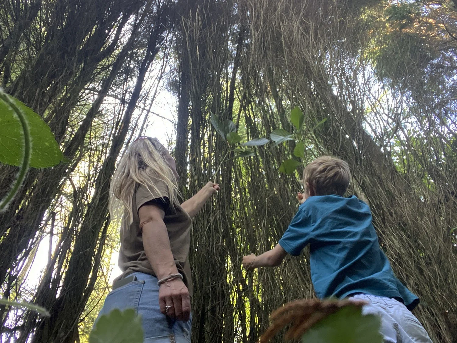 Choose Nature