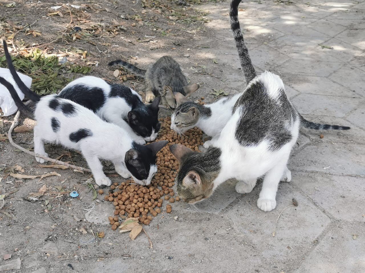 Sustainability | Silent Sands