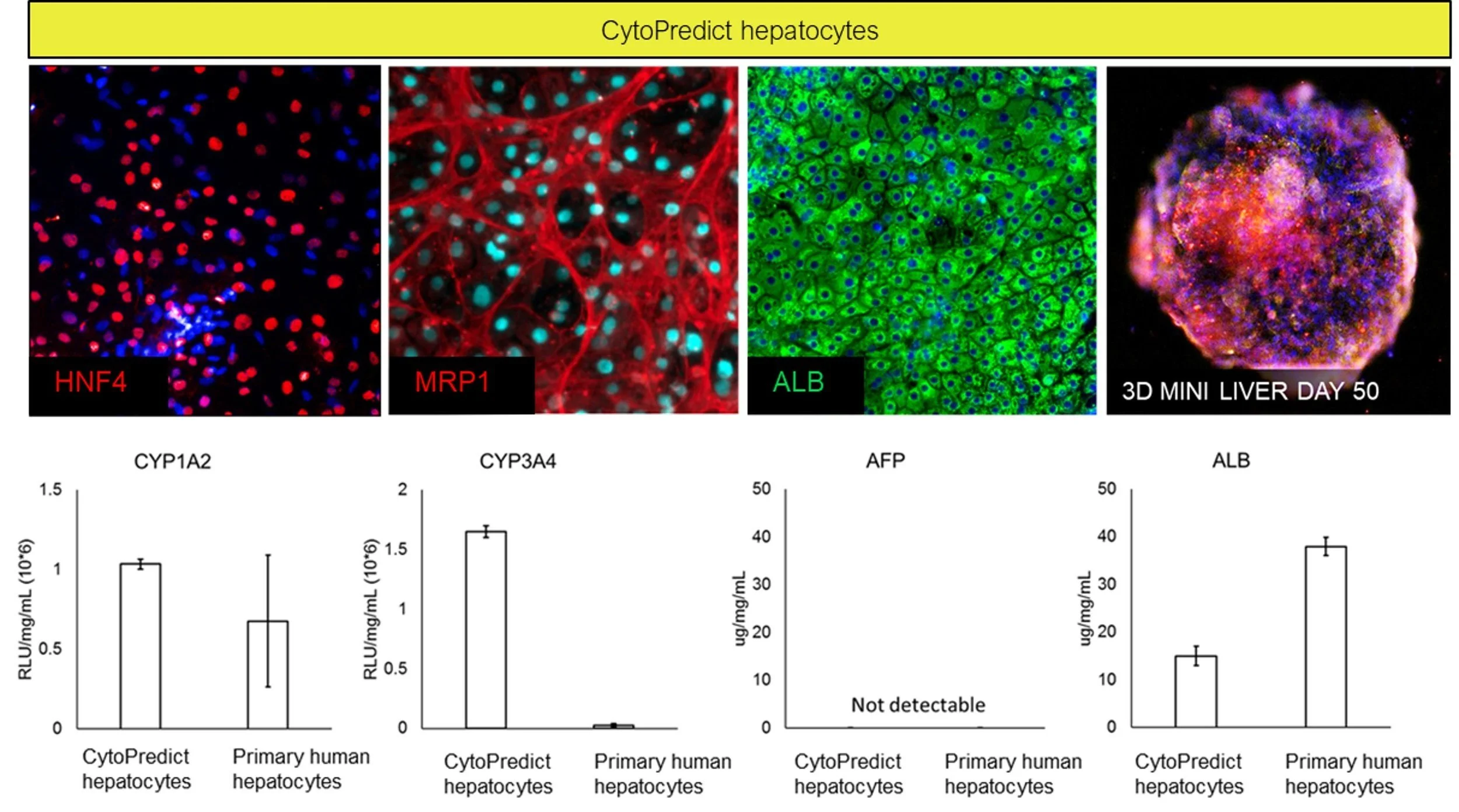 Advanced human iPSC cell models to predict clinical success in a global ...