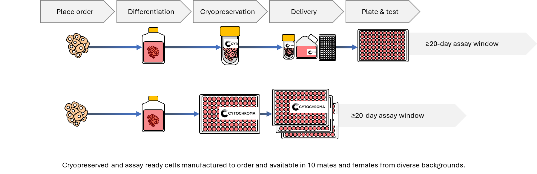 Advanced human iPSC cell models to predict clinical success in a global ...