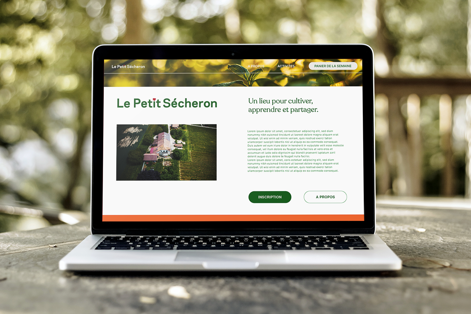 Zenzero Creative Studio - Le Petit Sécheron
