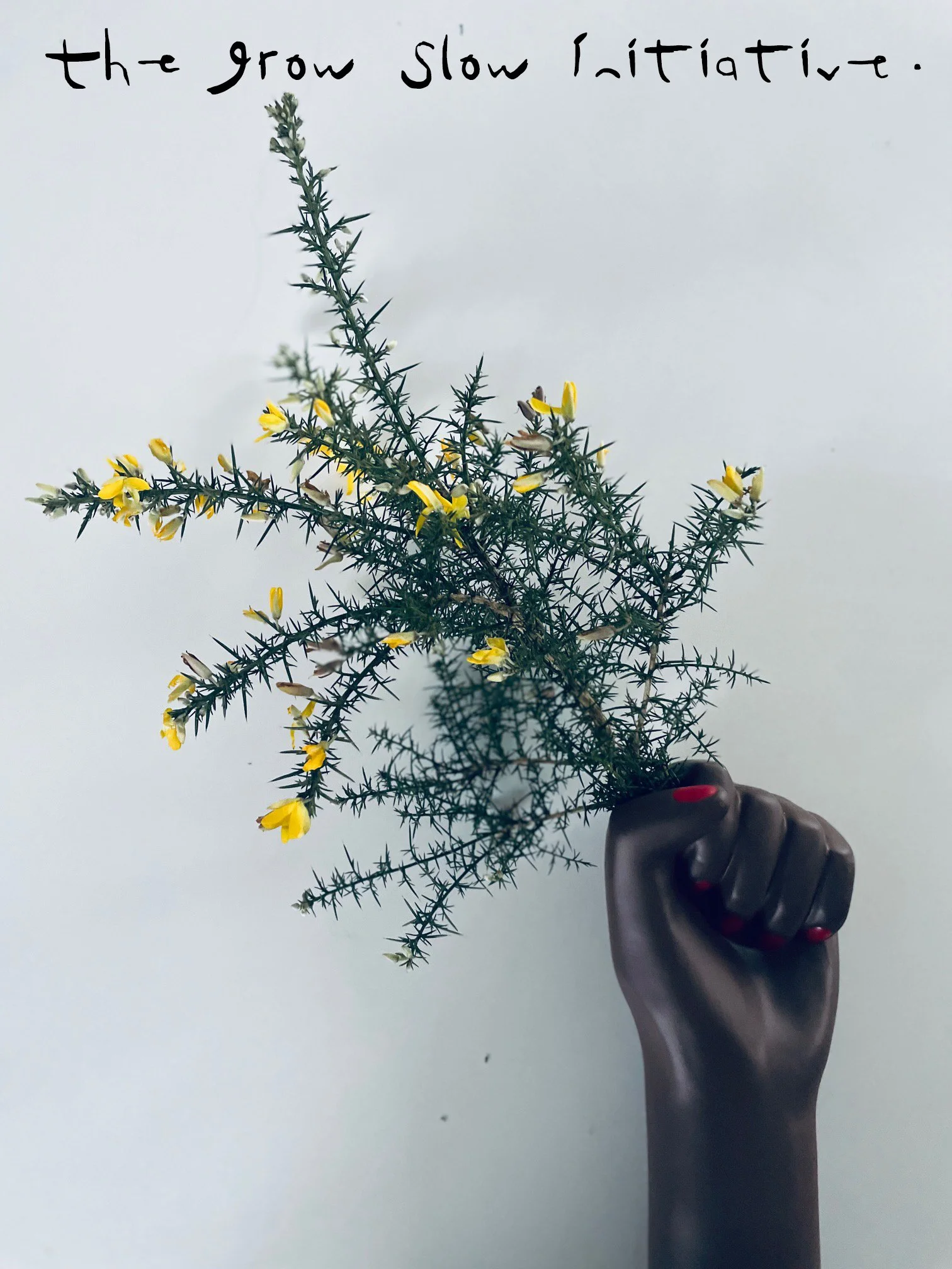 we grow slow — WildKind