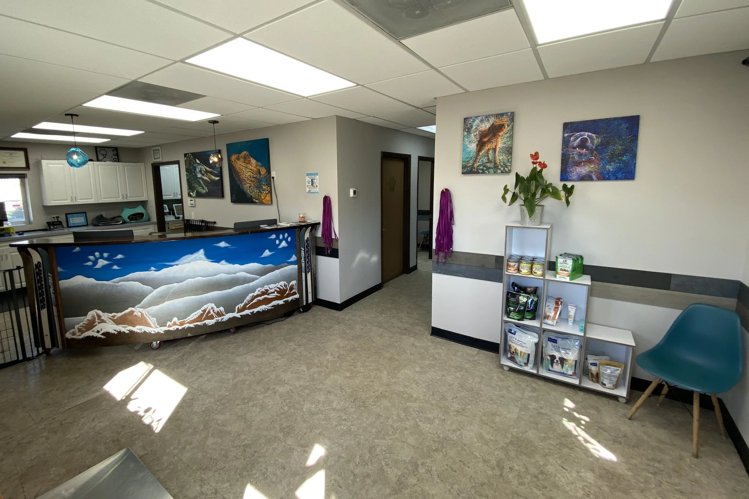 High Country Veterinary Hospital