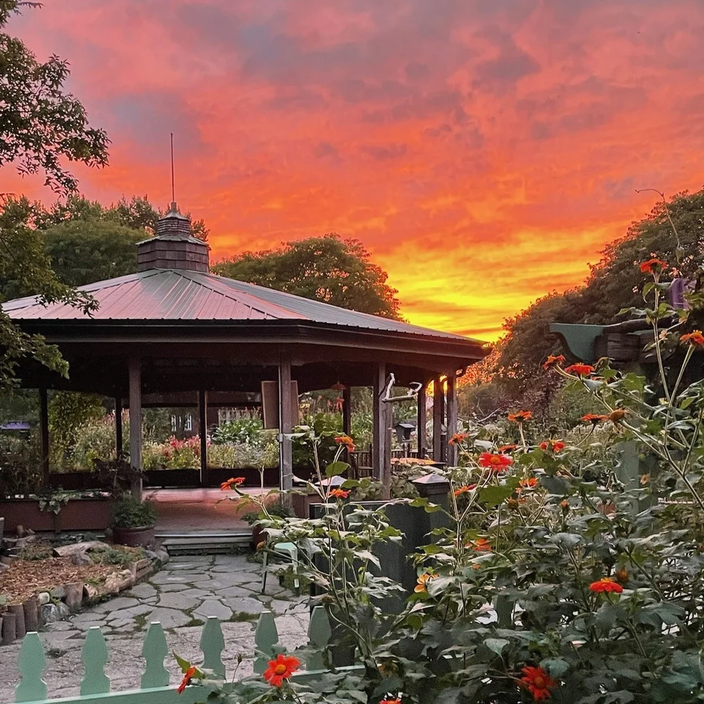 Detroit Abloom | Explore, Grow, Thrive – Join Us Today