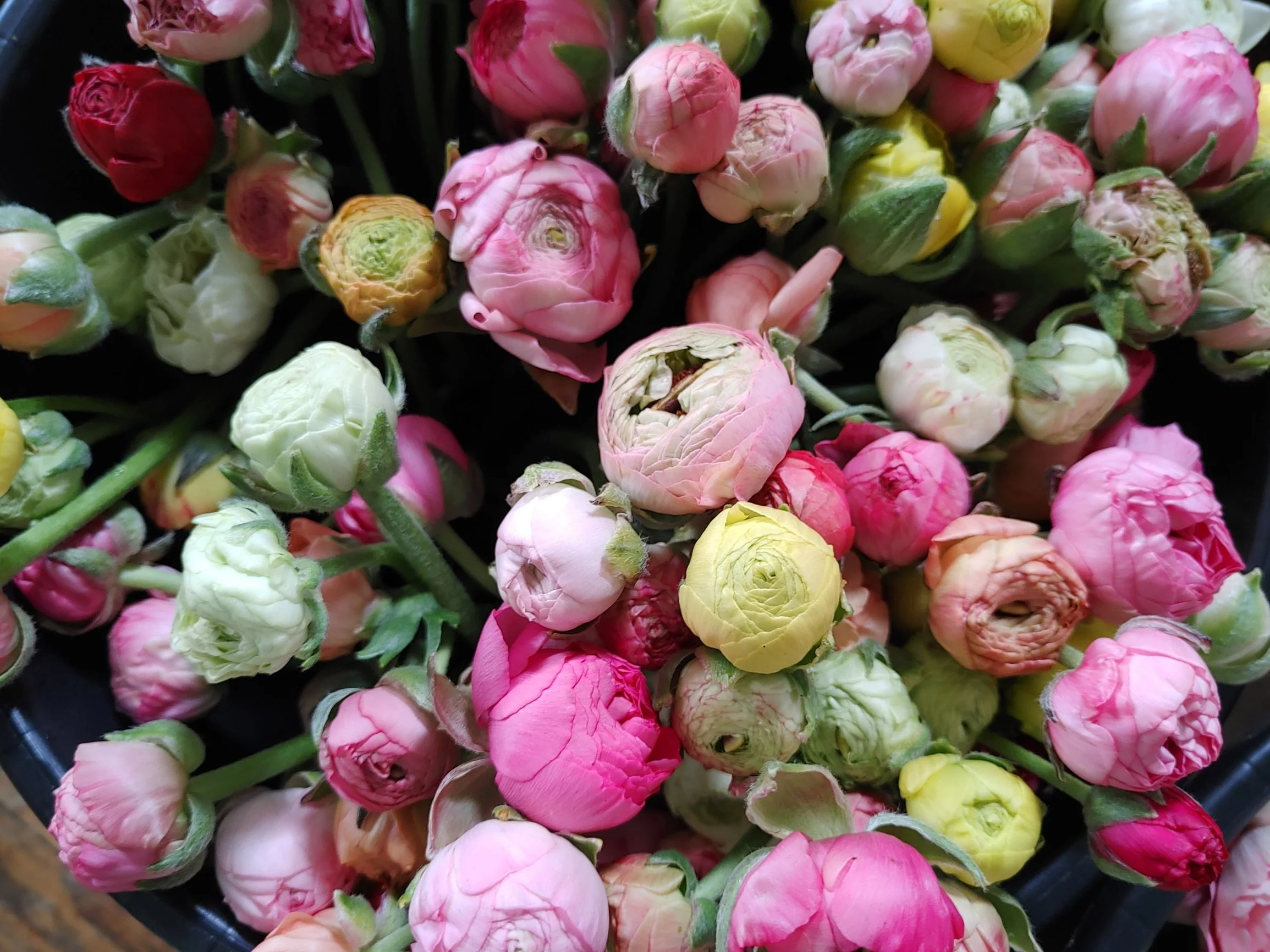Store 1 — Detroit Abloom