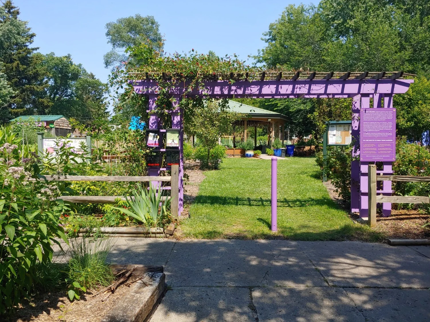 Detroit Abloom