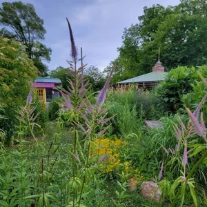 Detroit Abloom
