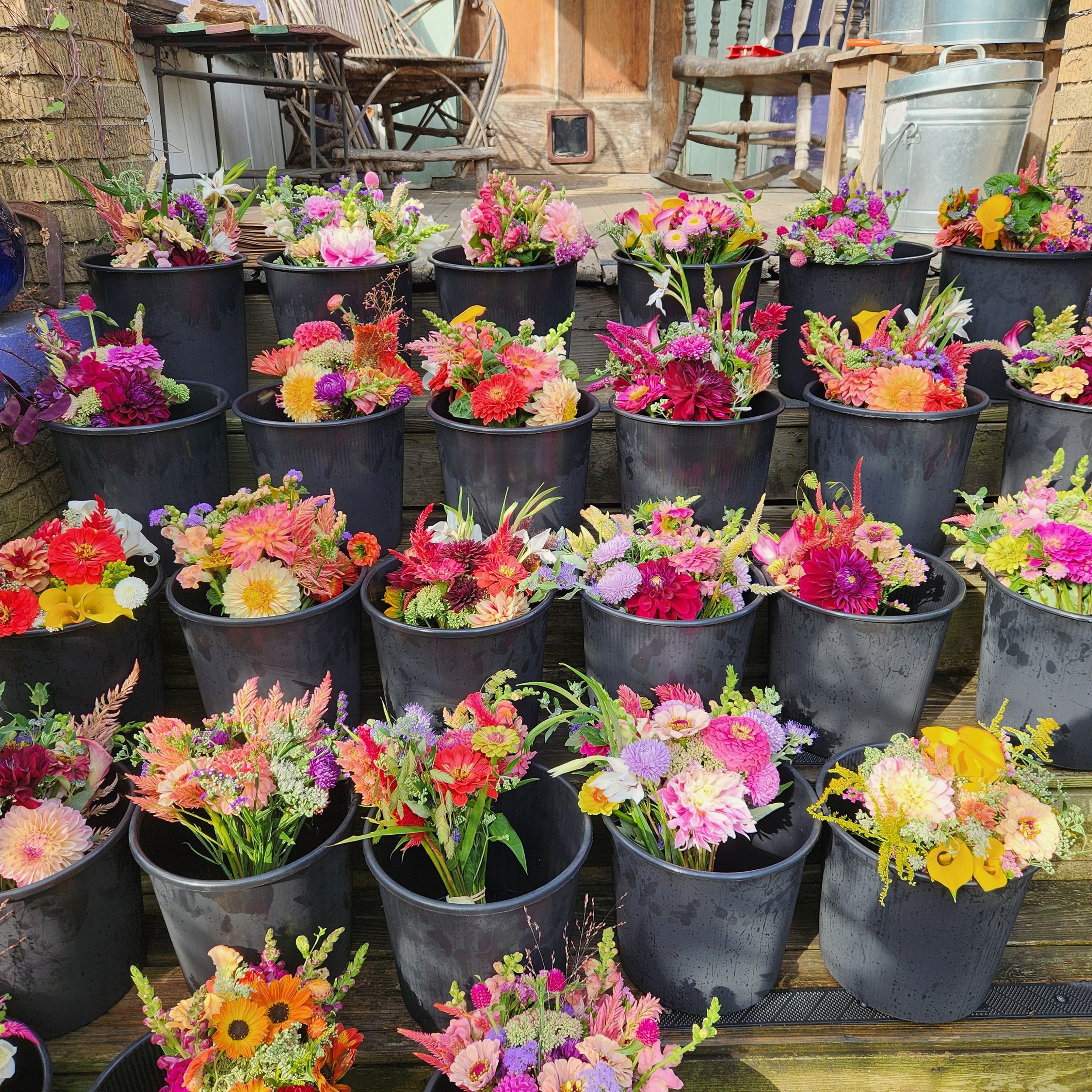 Detroit Abloom | Explore, Grow, Thrive – Join Us Today