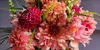 Detroit Abloom