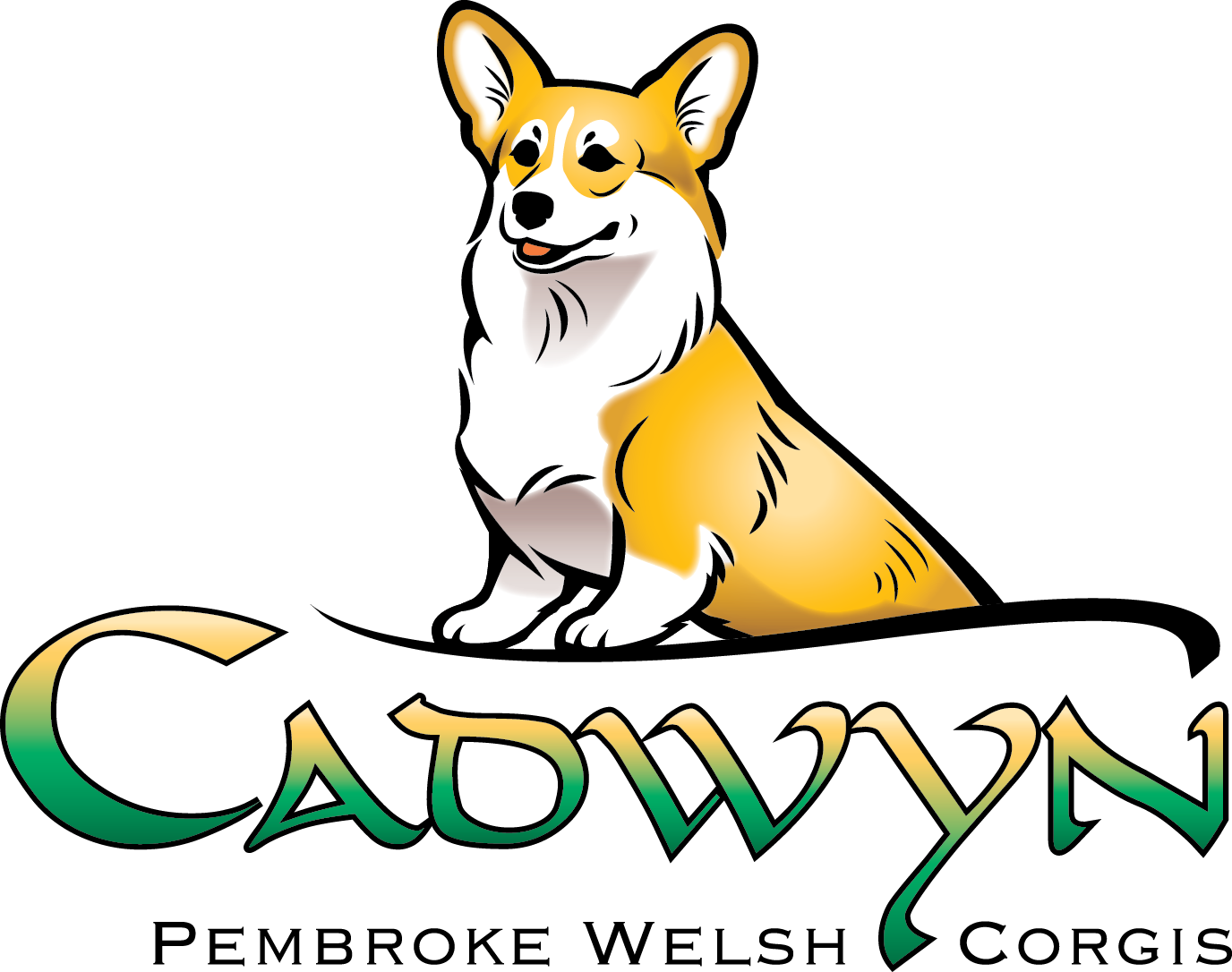 Comment avons-nous choisi notre nom? — Cadwyn Corgis | CKC Pembroke ...