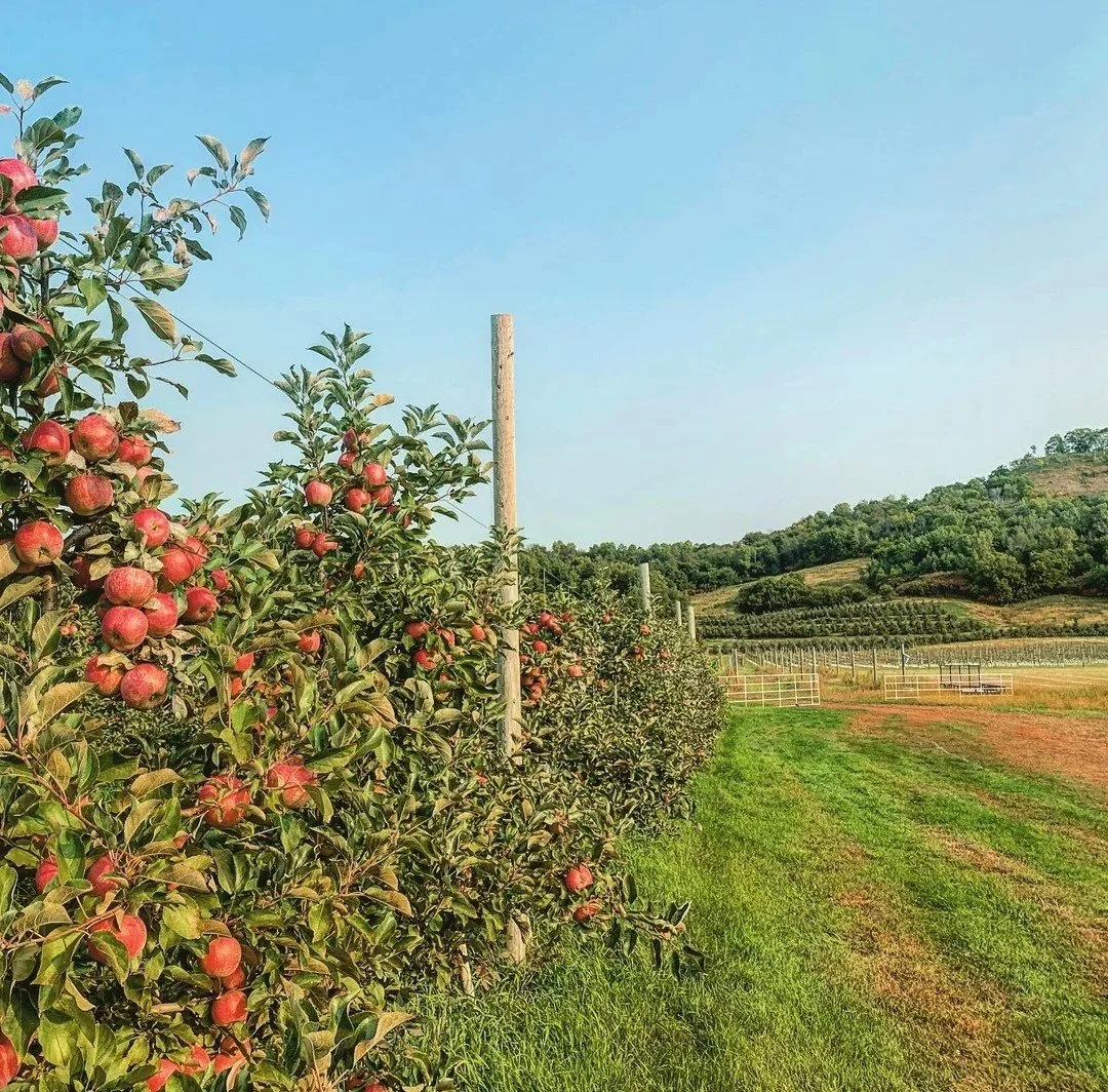 Apple Orchard & Farm in Winona, MN, Trempealeau & La Crosse, WI at ...