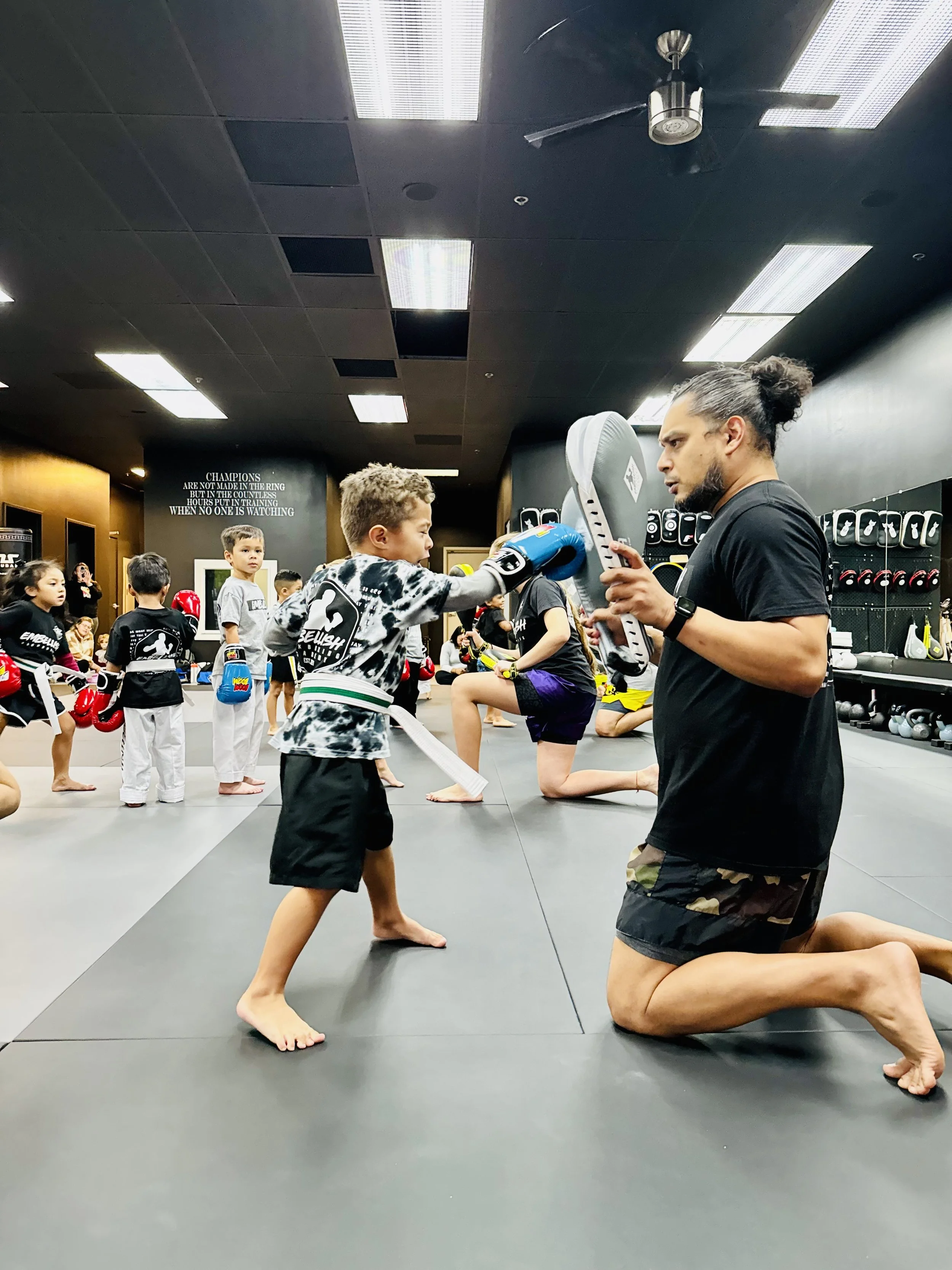 Best Martial Arts - Kickboxing - Strength Training Classes in Elk Grove, CA