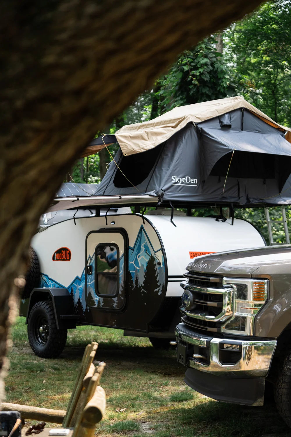 Little Buggy 12LRK — Modern Buggy