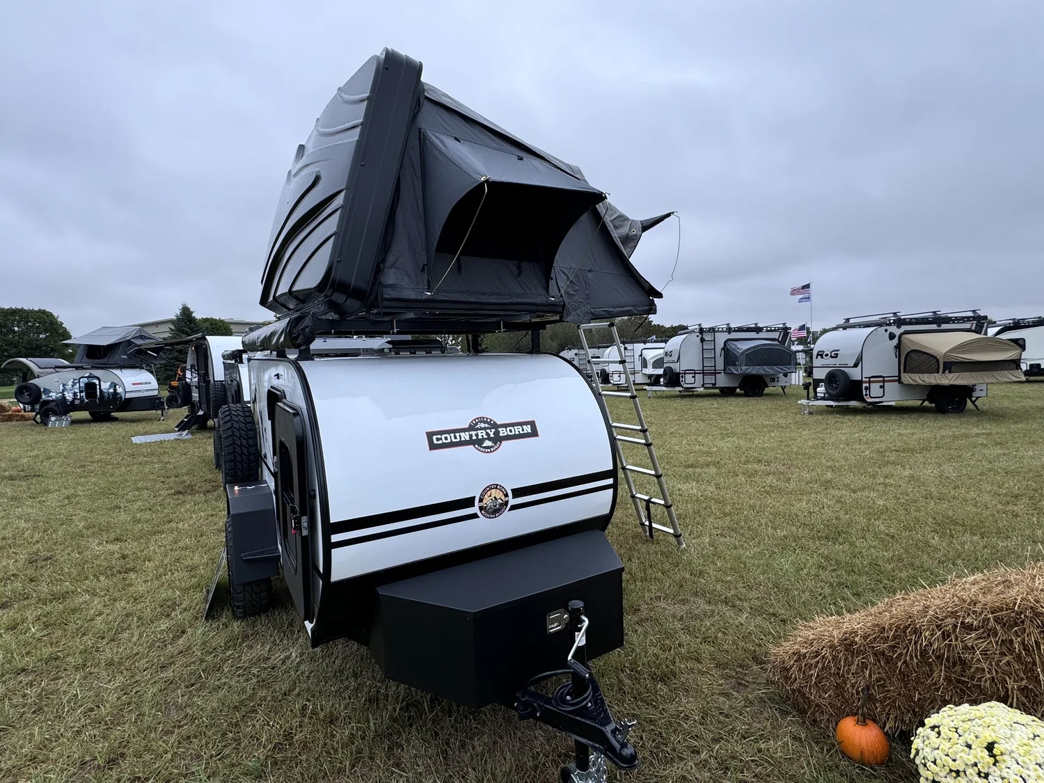 Country Born CB10 — Modern Buggy